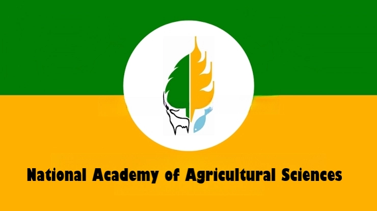 Book Writing: Book Publication Services - Research Partner